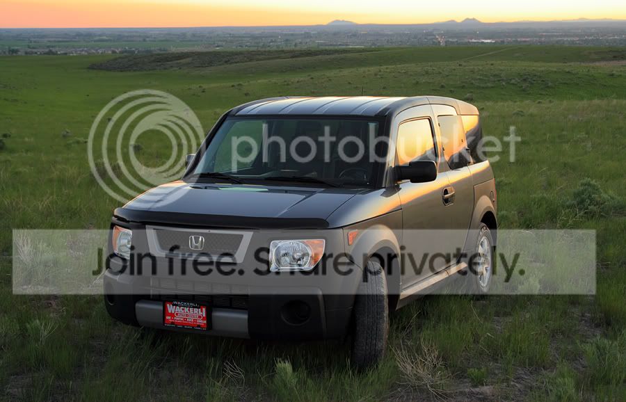Mobile Photography Studio aka Honda Element! | Honda Element Owners Club