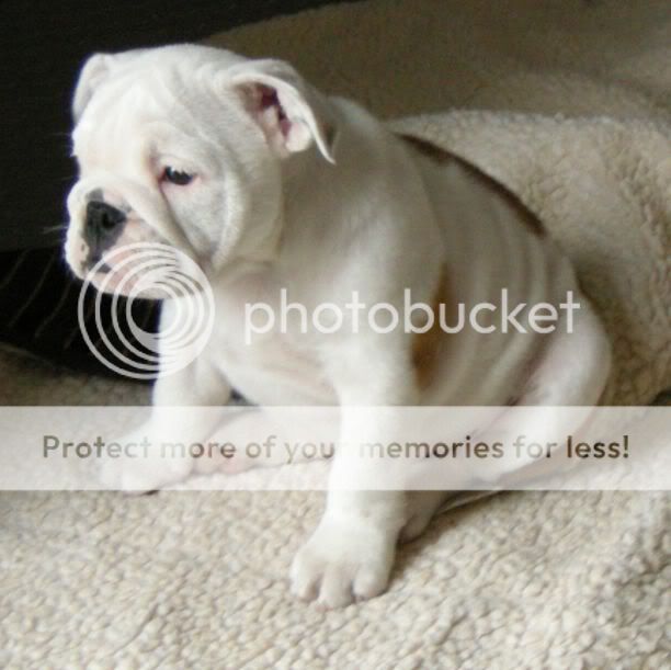 Headin' to a show..Here's our profiles!