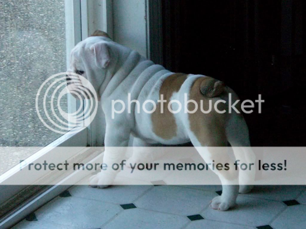 Headin' to a show..Here's our profiles!