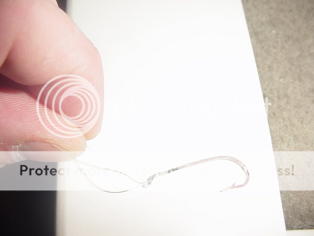 Perch drop shot rig with plastics | Michigan Sportsman Forum