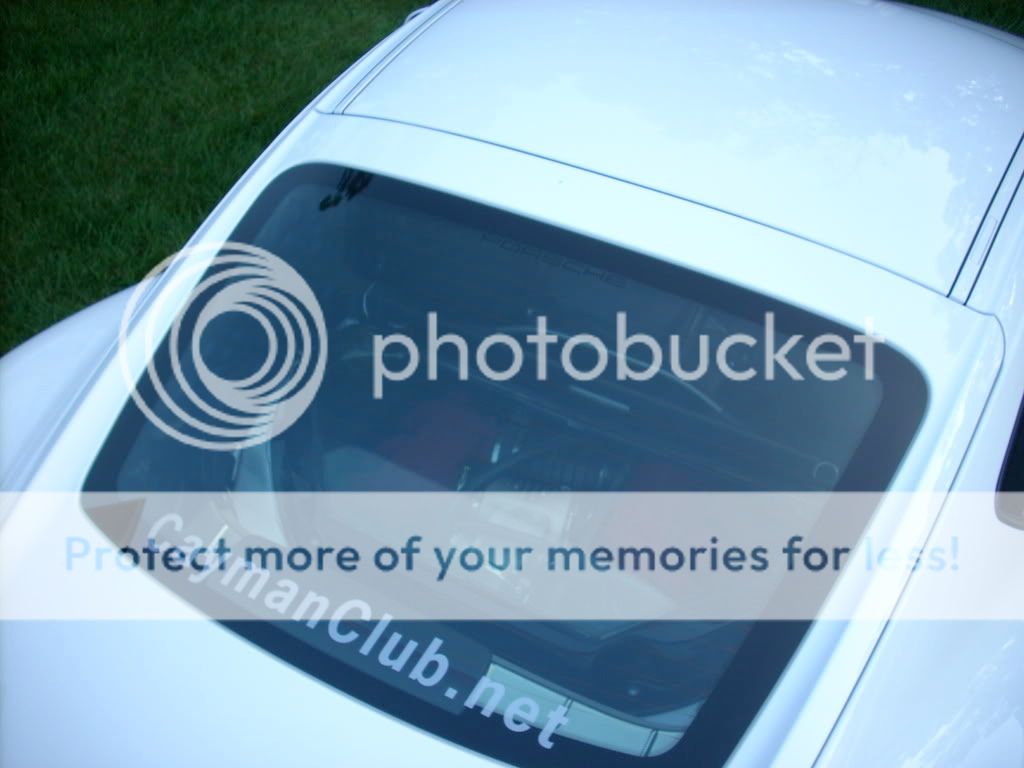 Strut King - Clear Engine Cover *UPDATED with installation photos ...