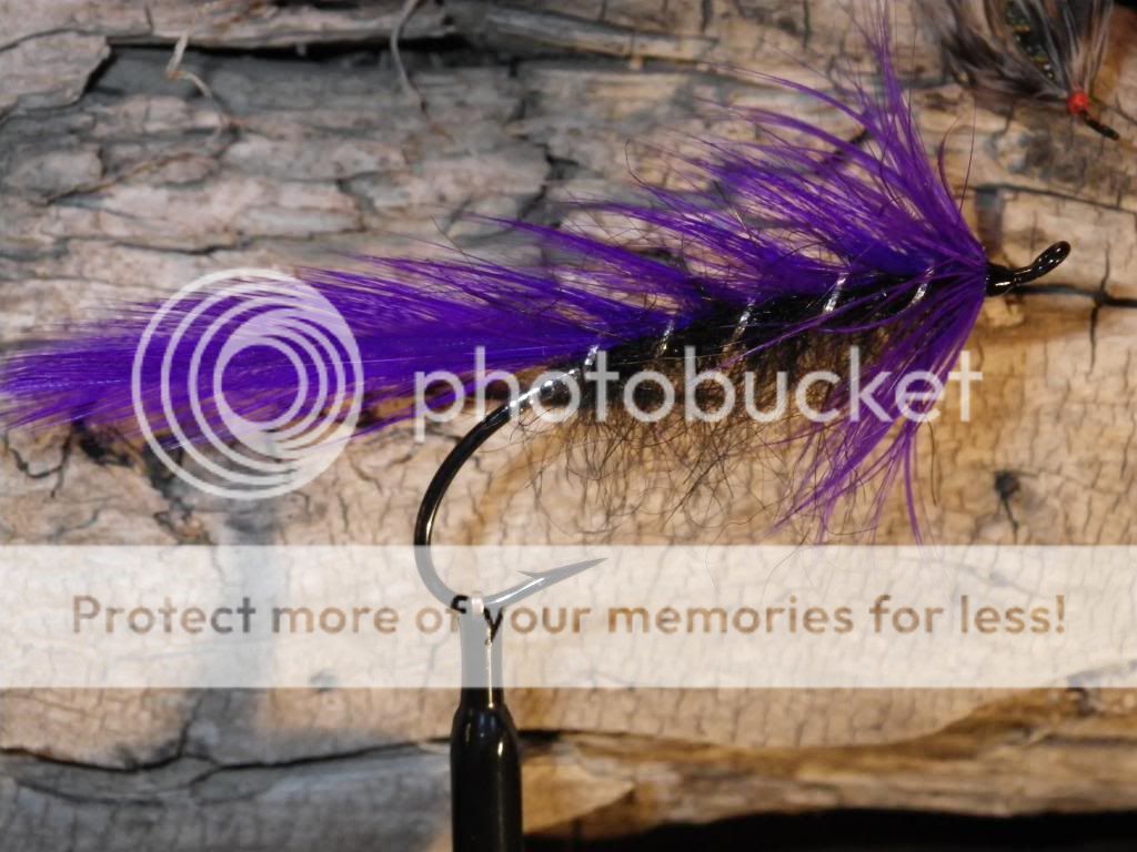 Maxwell's Purple Matuka | Spey Pages